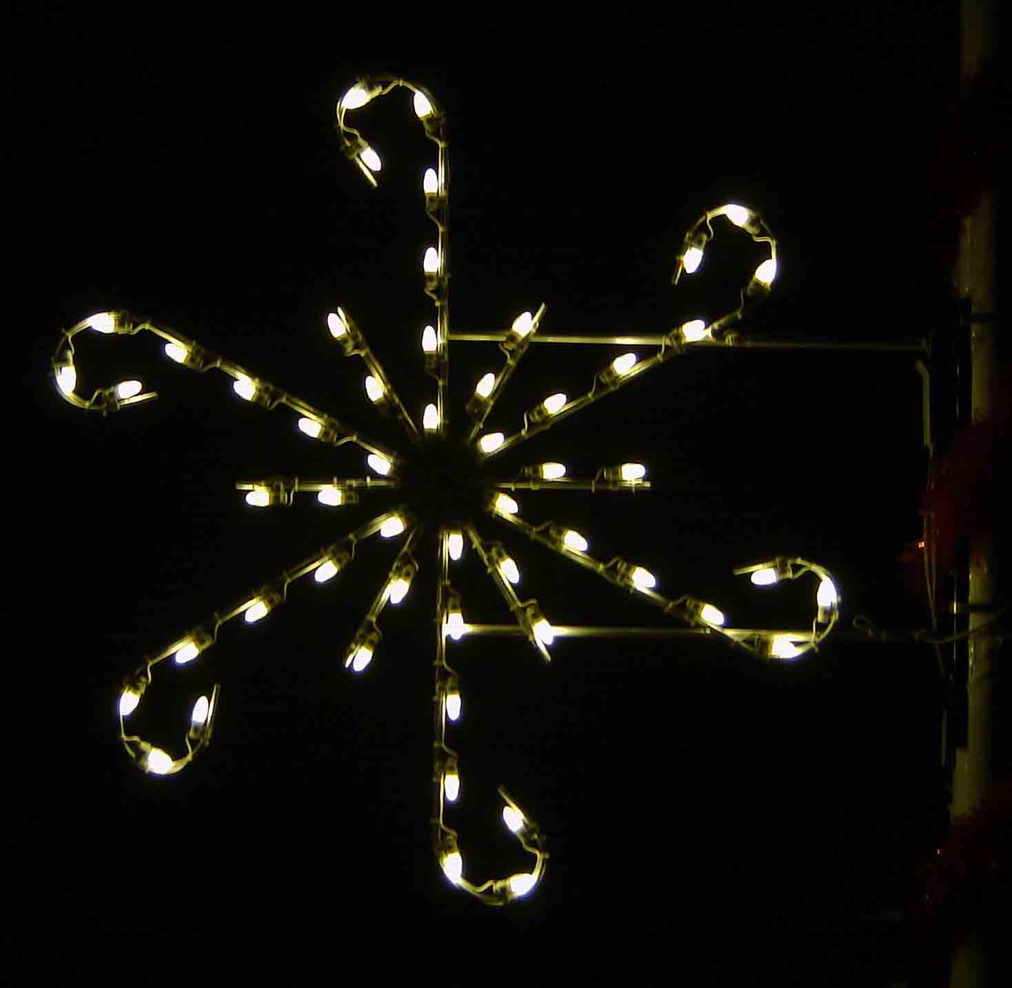 PM4-CURLY-SF-LED | GP Designs