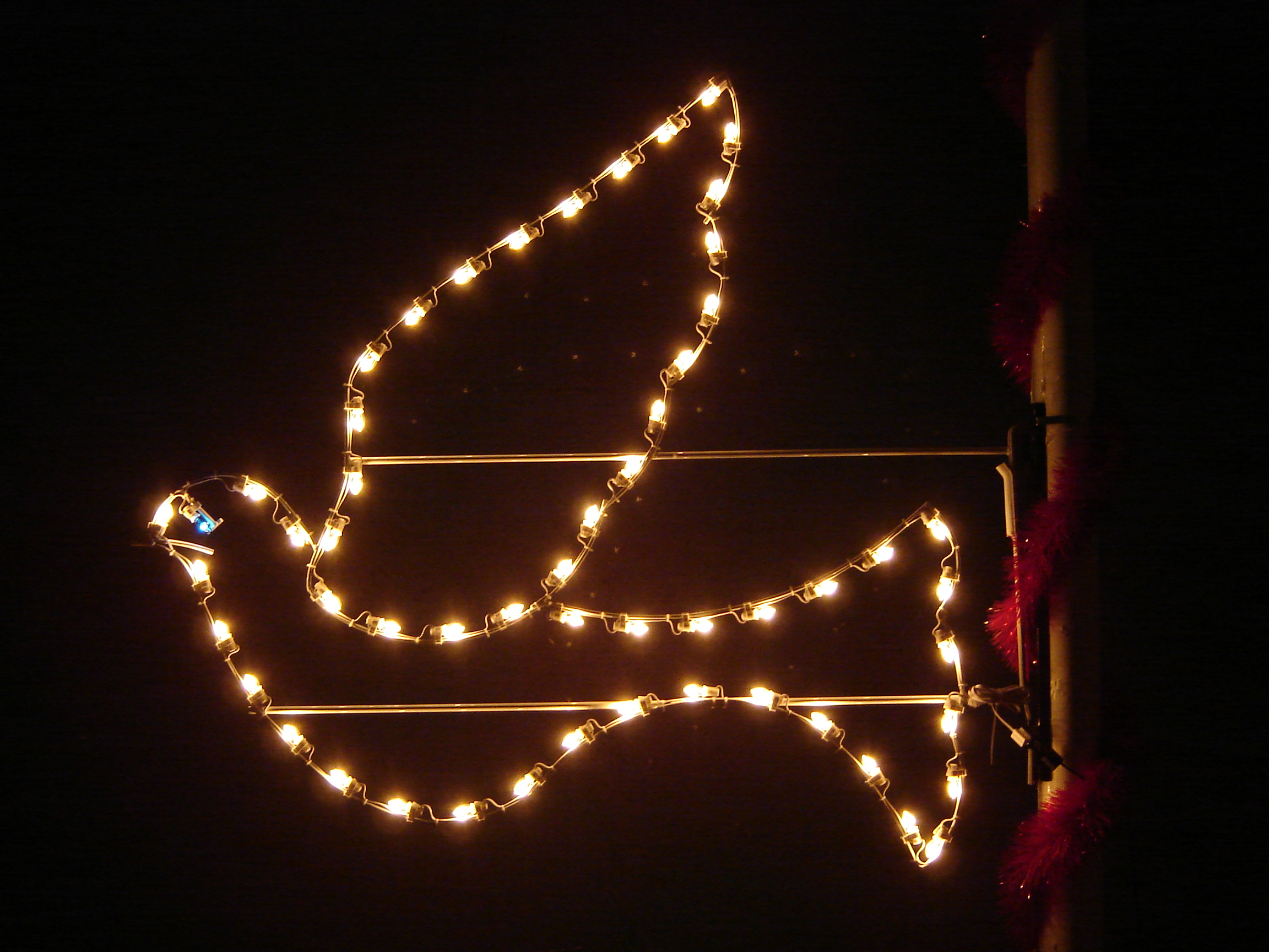 PMDOVE5-LED | GP Designs